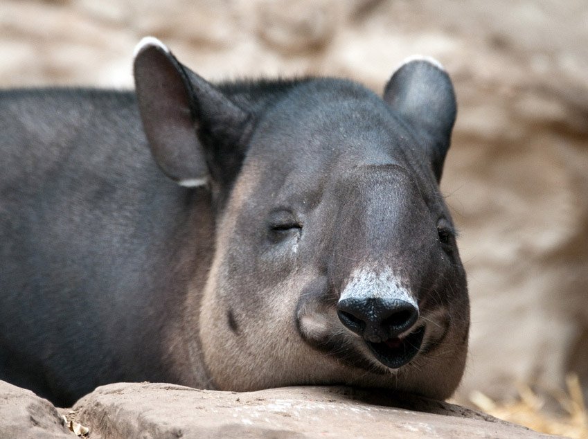 Zázraky přírody — Česká televize