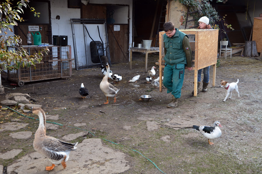 Malá farma: Výslužka pro Julii — Česká televize