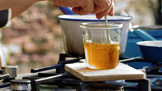 Měsíčková mast — Recepty — Herbář — Česká televize