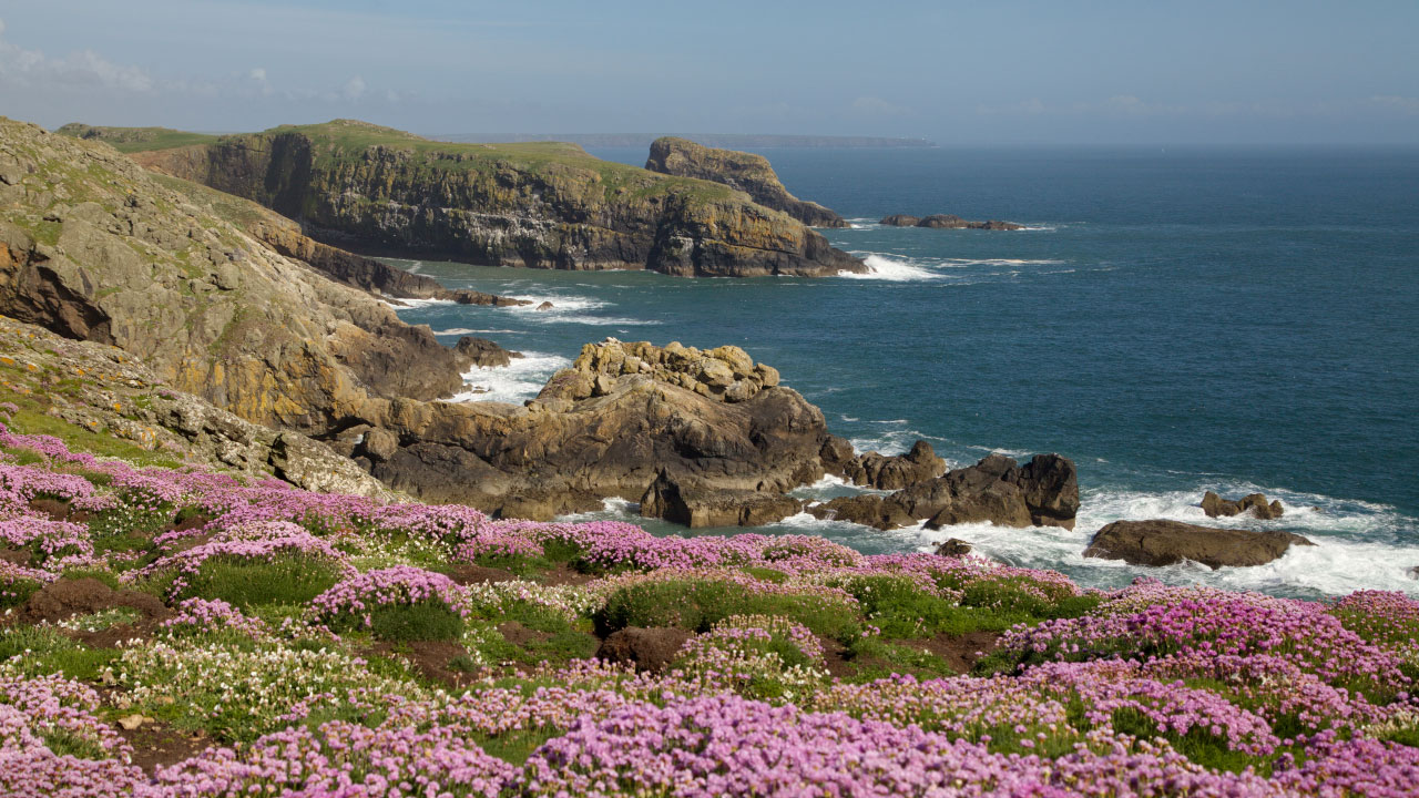 Wales – divoká příroda západu Velké Británie — Česká televize